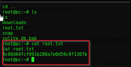 Hack the Box (HTB) - PC | HomeLab Docs